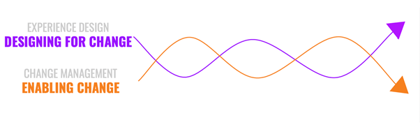 Designing and Enabling Change in HR